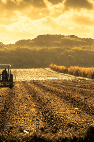 Formulations | Agricultural & Environmental Solutions | Azelis