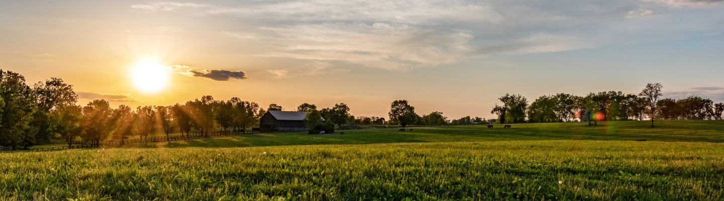 360 degree insight to MANE flavours | Product News | Food & Nutrition ...