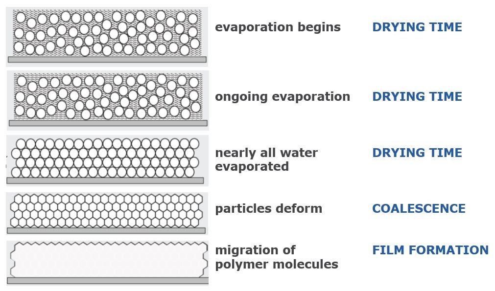 Discover how to improve open time for professional deco paints | Market ...